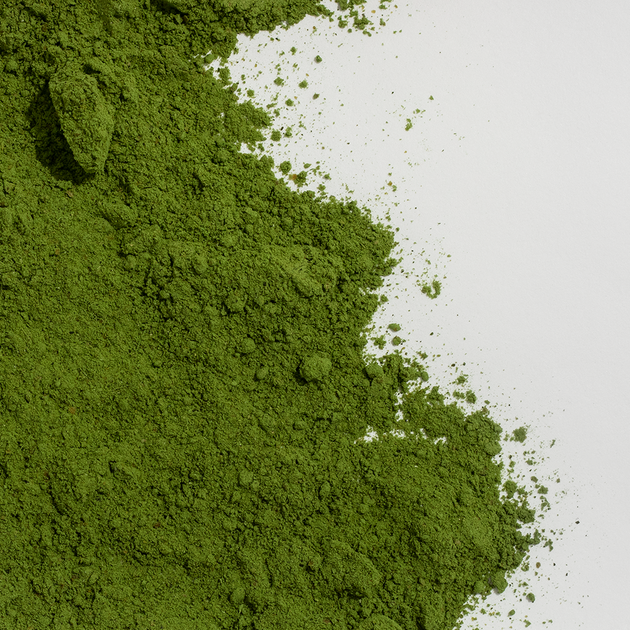 The Power of Chlorophyll – Coastal Canine